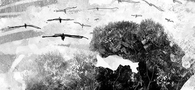 Tetracromata | IRA CARLOVICH